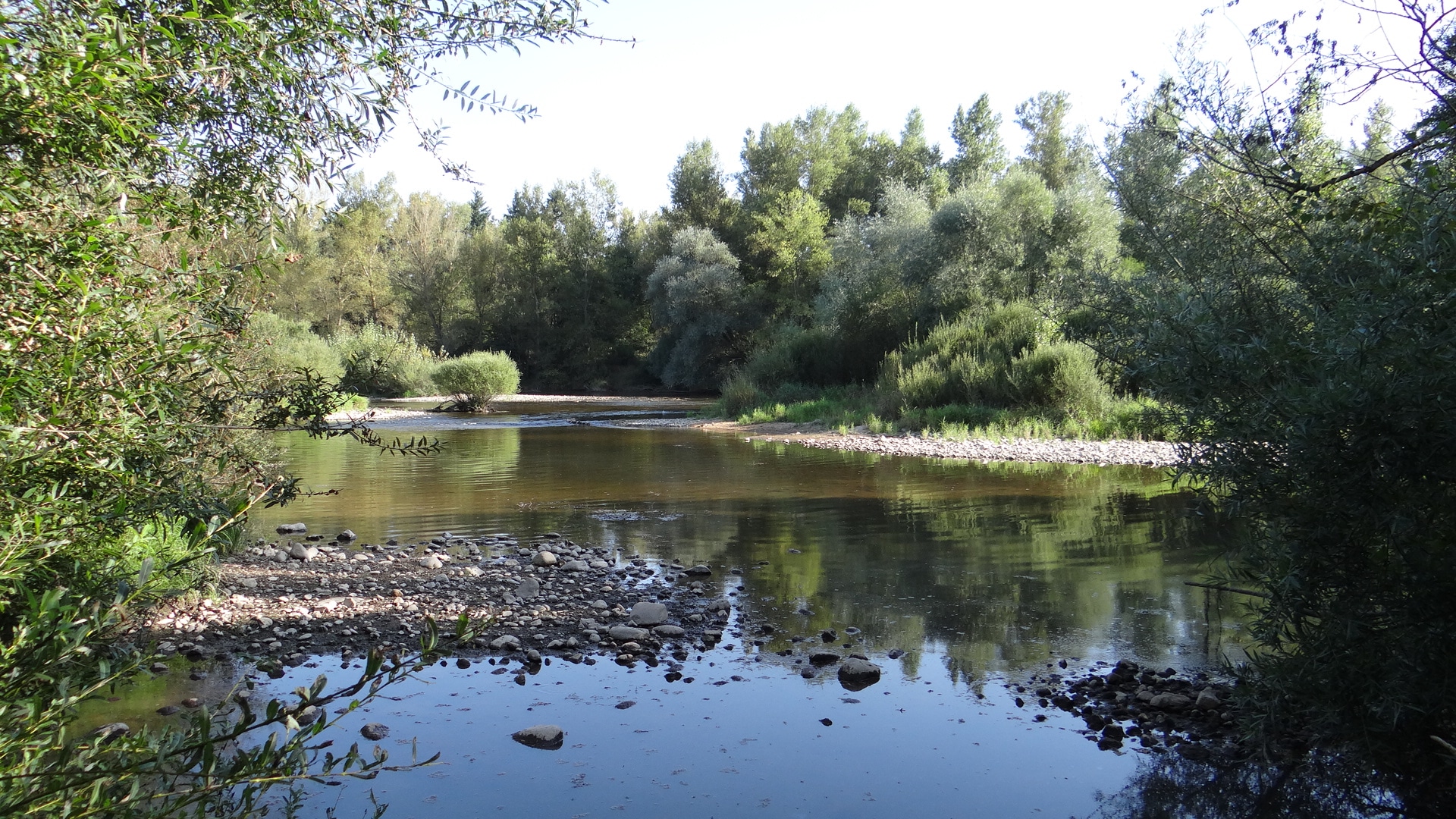 Archives des Paysage | Vivace - Paysagiste concepteur DPLG